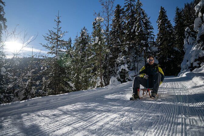 Day Sledding in Interlaken - The Practicalities: What’s Included and What to Bring