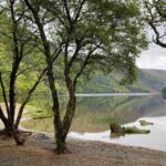 Day Tour from Dublin: Wicklow Mountains, Glendalough, Powerscourt - The Itinerary: A Deep Dive