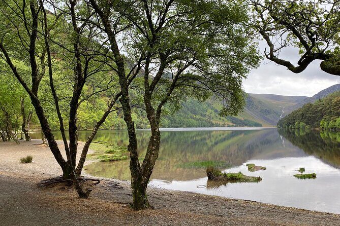 Day Tour from Dublin: Wicklow Mountains, Glendalough, Powerscourt - The Itinerary: A Deep Dive