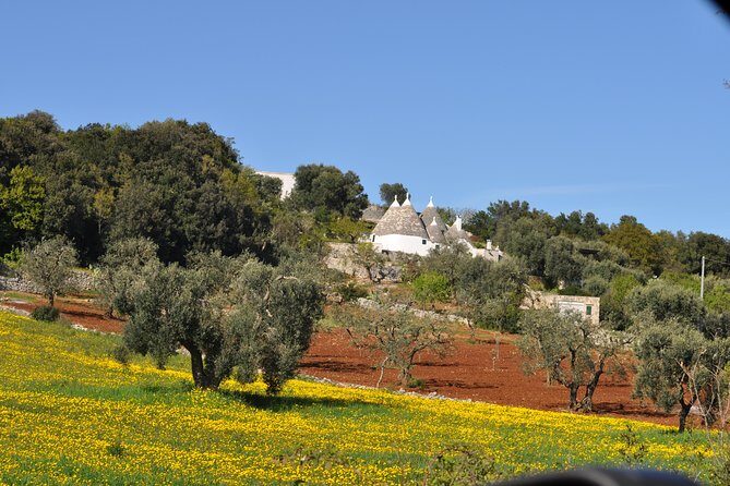 Day Tour of Bari, Alberobello, Matera - Who Should Consider This Tour?
