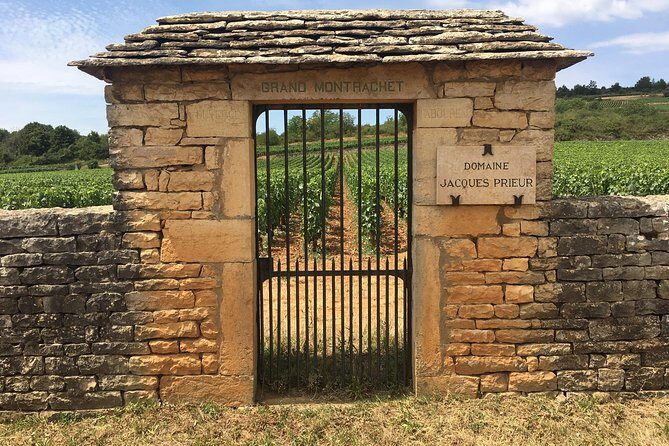 Day tour of the road of the Grands Crus vineyards of Burgundy. - Final Thoughts