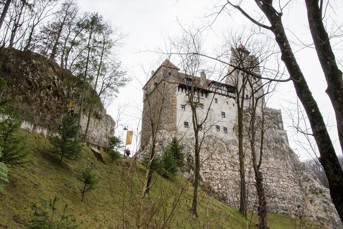 Day Trip Bear Sanctuary, Bran Castle, Rasnov Fortress from Brasov - Final Thoughts
