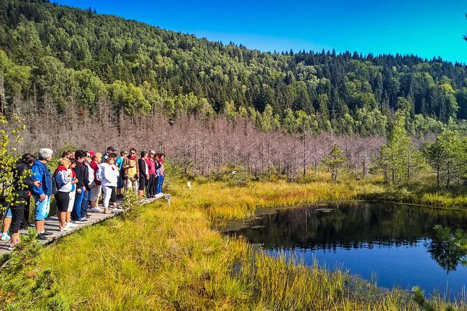 Day Trip & Bear Watching in the Land of Volcanoes - The Itinerary: A Well-Rounded Exploration of Nature and Wildlife