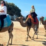 Day trip from Gibraltar to Morocco All Inclusive - Analyzing the Value and Practical Considerations