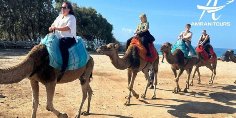Day trip from Gibraltar to Morocco All Inclusive - Analyzing the Value and Practical Considerations