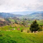 Day trip from Iasi to the UNESCO Painted Monasteries in Bucovina - Who Should Consider This Tour?