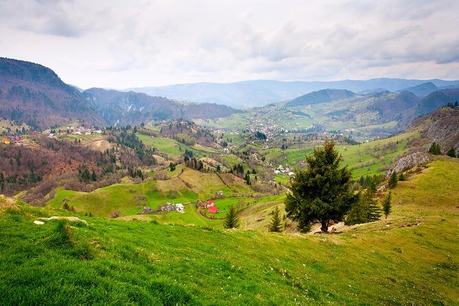 Day trip from Iasi to the UNESCO Painted Monasteries in Bucovina - Who Should Consider This Tour?
