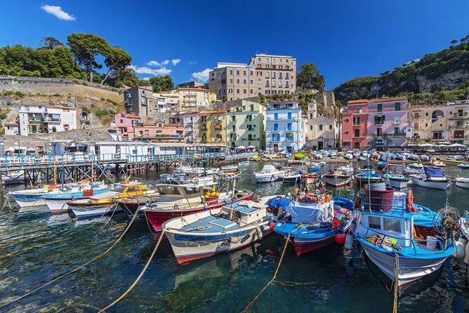 Day trip from Naples: Pompeii & Sorrento - private tour - Practical Insights and Tips