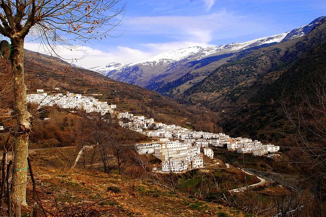Day trip in Trevélez and a visit to ham drying factory - Exploring the Trevélez Day Trip: An Authentic Slice of the Alpujarras