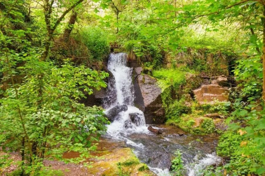 Day Trip to Calcata and Montegelato Waterwalls from Rome - Authentic Experiences That Make This Trip Special