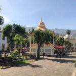 Day trip to the island of Tenerife - Detailed Breakdown of the Tour