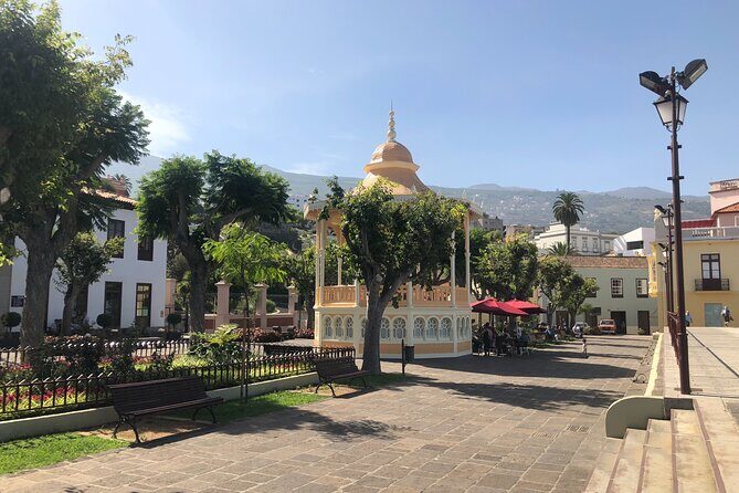 Day trip to the island of Tenerife - Detailed Breakdown of the Tour