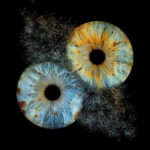 Deauville: Reveal the beauty of your iris with Iris Galerie - What To Expect During the Tour