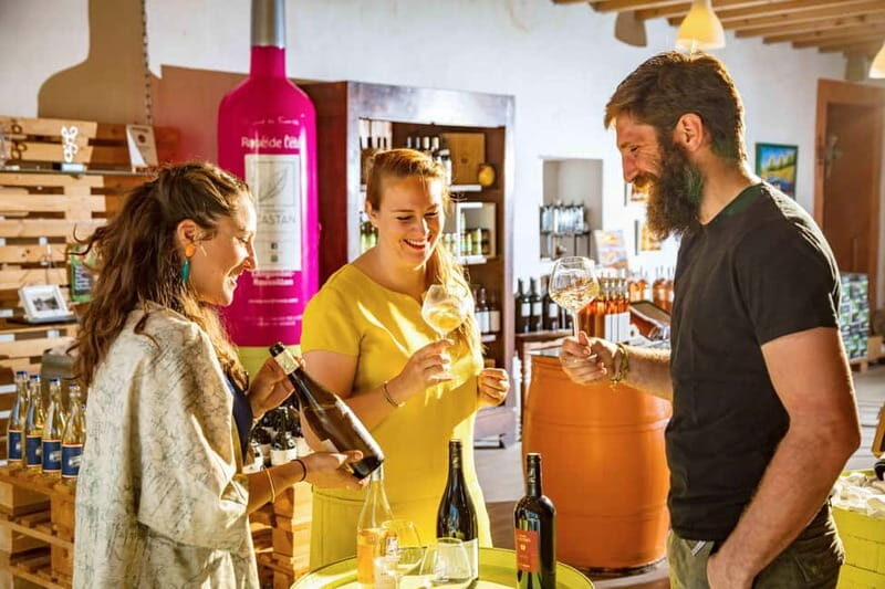 Dégustation Terroir : Journey to the heart of Domaine Castan's flavours - Who Will Love This Tour?