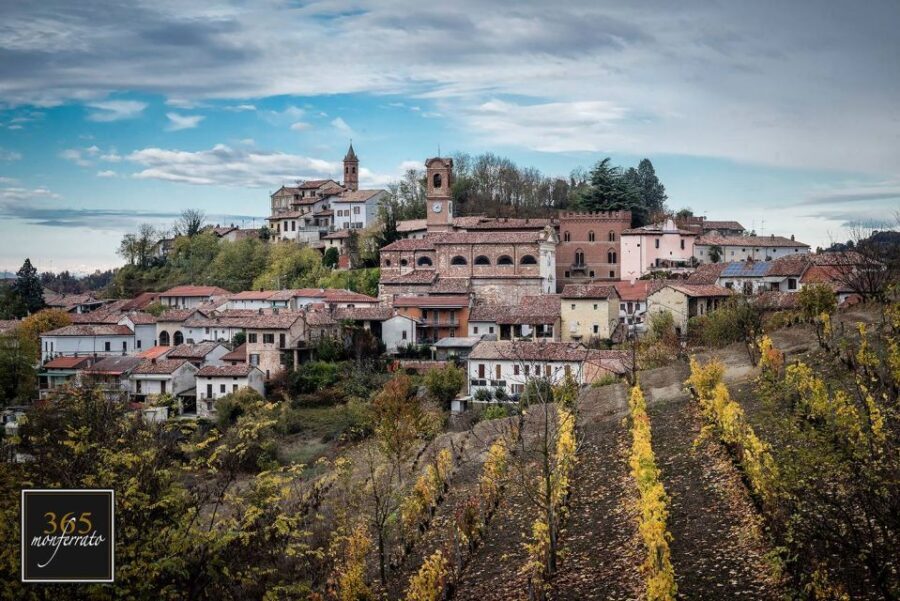 Degustazione di vini del Monferrato con visita della cantina - Exploring the Itinerary