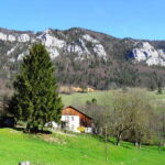 Delémont: Private Guided City Walking Tour - What to Expect During Your Tour