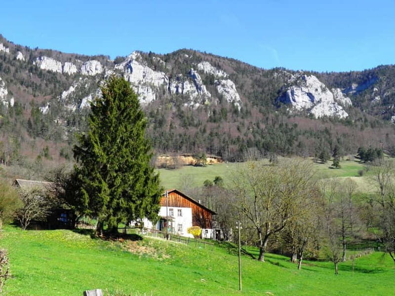 Delémont: Private Guided City Walking Tour - What to Expect During Your Tour