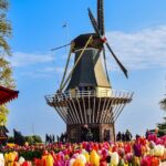 Delft and Keukenhof Gardens Tour from Brussels - Practical Details & Tips