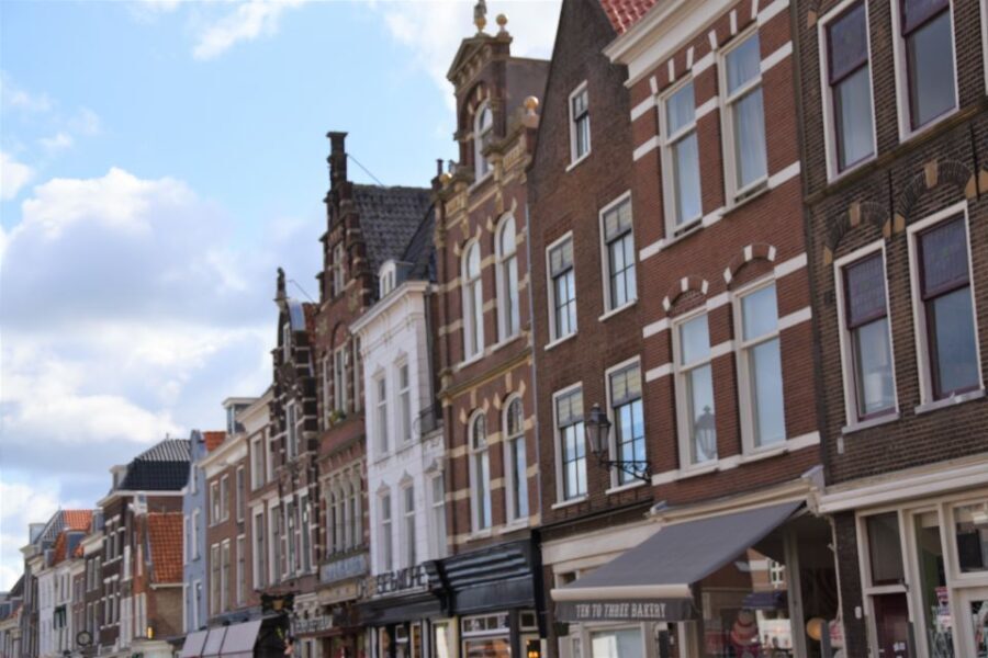 Delft: Private Historical and Cultural Guided Walking Tour - Why Travelers Rave About This Tour
