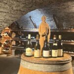 Délicave: Immersive Exhibition & Wine Tasting - What to Expect: The Exhibition