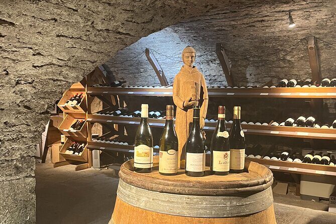Délicave: Immersive Exhibition & Wine Tasting - What to Expect: The Exhibition