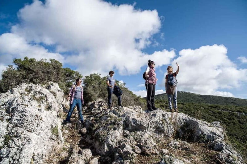Delphi: Ancient Footpath Guided Hike - Detailed Breakdown of the Itinerary and Experience