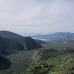 Delphi: Easy Hike on Ancient Path through the Olive Groves - The Experience: What to Expect