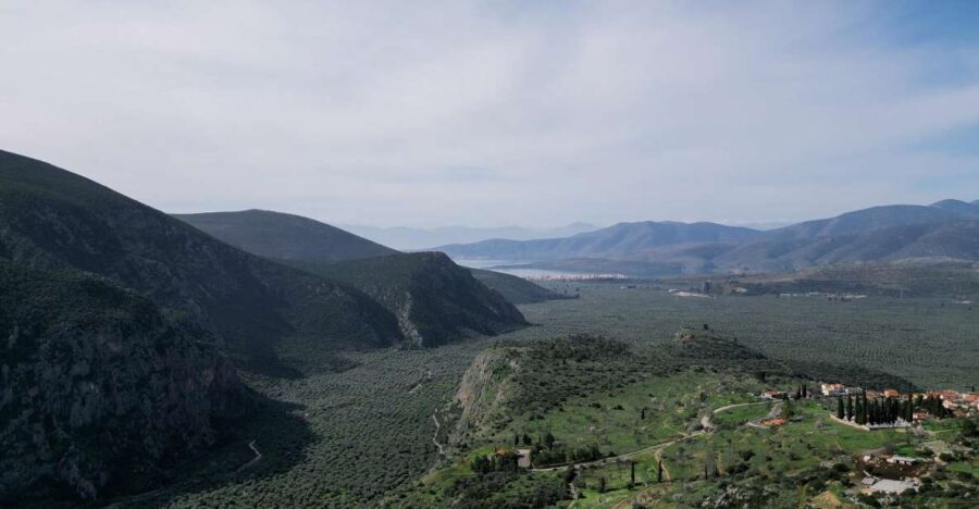 Delphi: Easy Hike on Ancient Path through the Olive Groves - The Experience: What to Expect