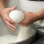 Deluxe Experience: Mozzarella, Oil and Wine Tasting on the Amalfi Coast - An In-Depth Look at the Tour
