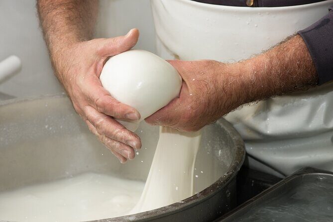 Deluxe Experience: Mozzarella, Oil and Wine Tasting on the Amalfi Coast - An In-Depth Look at the Tour