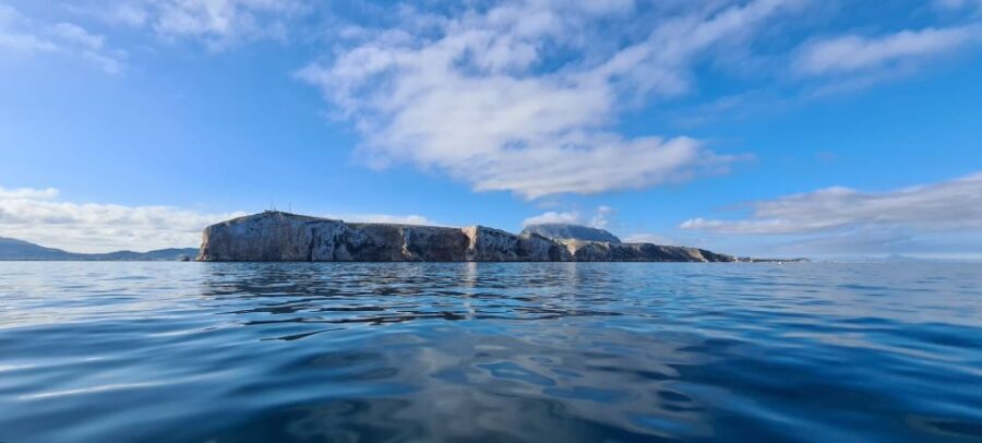 Denia: Cabo San Antonio Snorkeling Tour - Understanding the Value