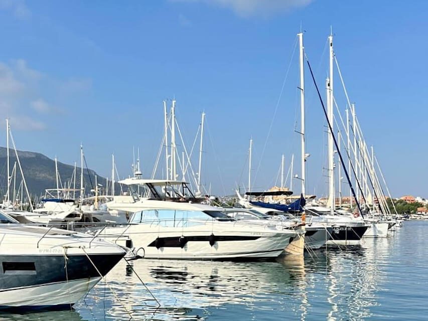 Denia: Guided Walking Tour - An Introduction to the Tour