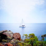 Denia/Jávea: a day at sea with paella on Isla Portitxol - How This Tour Adds Value for Travelers