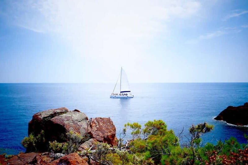 Denia/Jávea: a day at sea with paella on Isla Portitxol - How This Tour Adds Value for Travelers