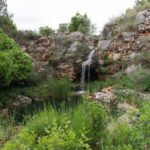 Denia: L'Albarda Garden Entry Ticket - The Highlights That Make It Special