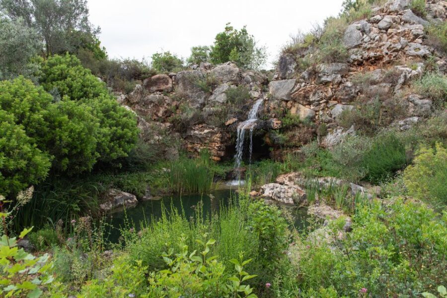 Denia: L'Albarda Garden Entry Ticket - The Highlights That Make It Special