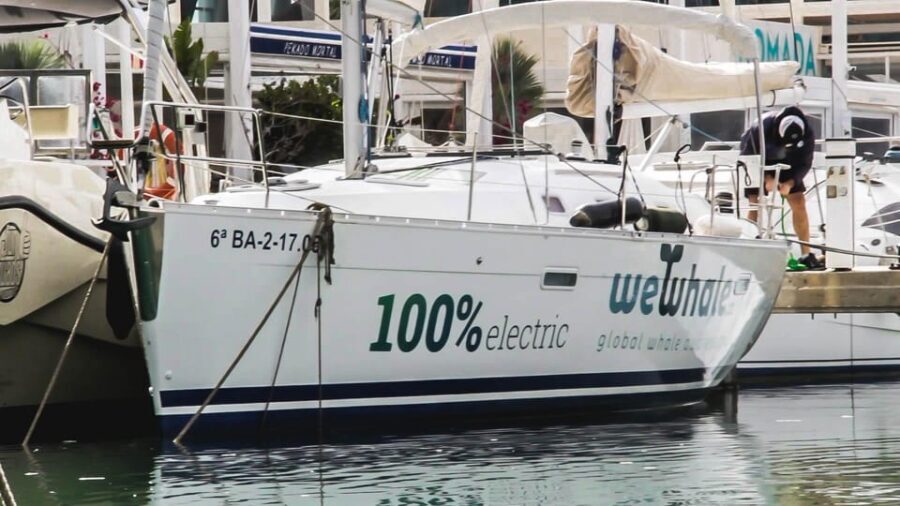 Denia: Sunset Electric Sailboat Cruise with Dolphin Spotting - What to Expect on the Cruise
