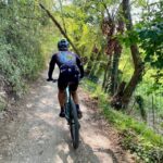 Desenzano: e-Bike Tour with Wine Tasting - Discovering the Inland of Desenzano