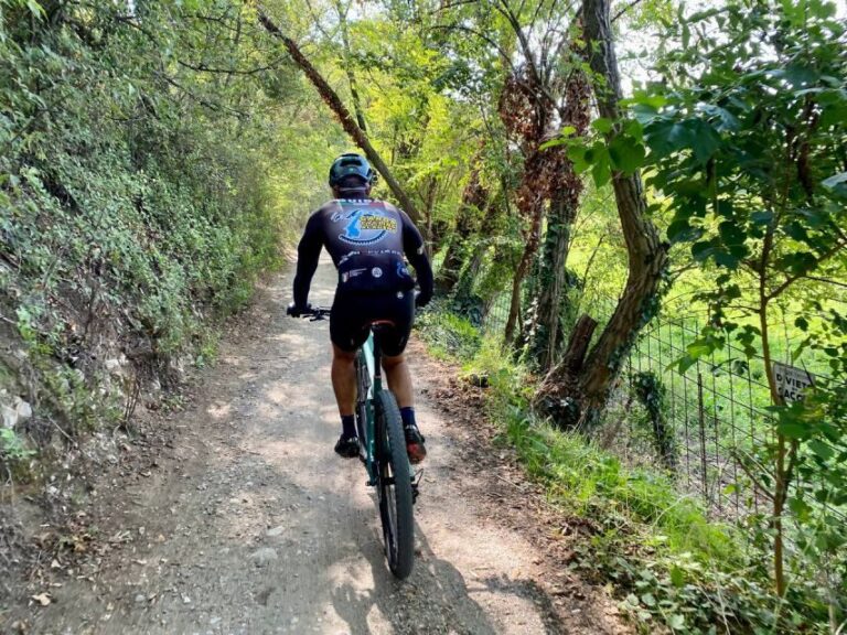 Desenzano: e-Bike Tour with Wine Tasting - Discovering the Inland of Desenzano