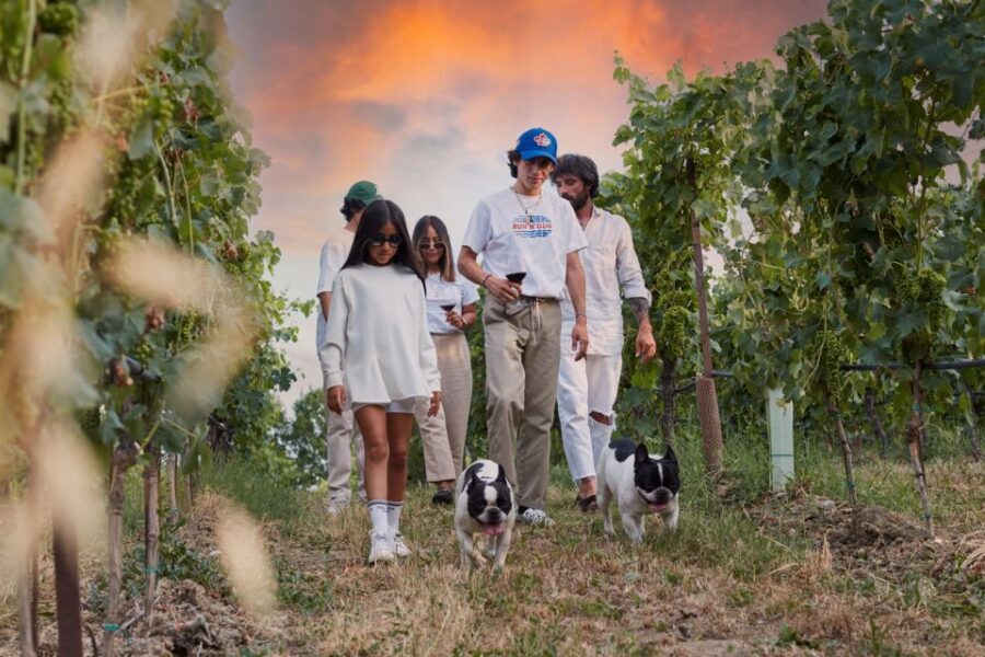Desenzano: Lugana Wine-Tasting and Vineyard Tour - Exploring the Vineyards and Cellars
