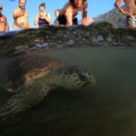 Didim: Dalyan Tour with Turtle Beach, Mud Bath & Lunch - Practical Details and What to Know