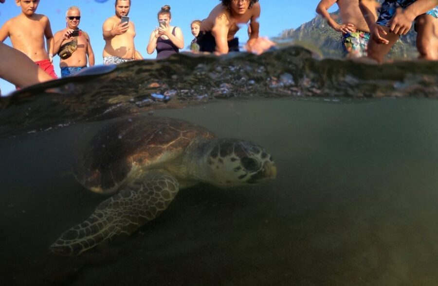 Didim: Dalyan Tour with Turtle Beach, Mud Bath & Lunch - Practical Details and What to Know