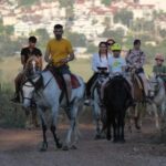 Didim Horse Safari - How the Tour Is Structured