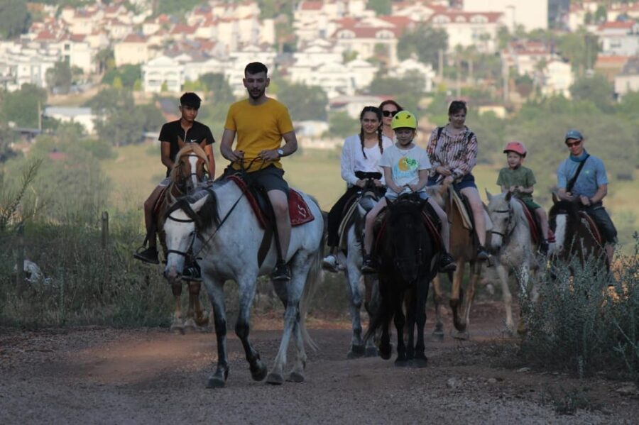 Didim Horse Safari - How the Tour Is Structured