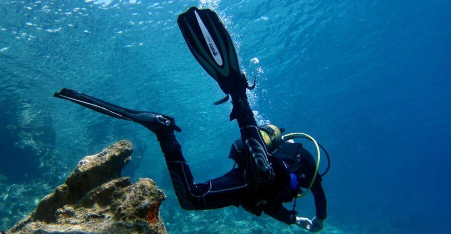 Didim: Scuba Diving Experience w/Hotel Pickup & Lunch - What’s Included and What’s Not