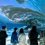 Digital Experience Museum Skip-the-Line Entry - What You Can Expect from Your Visit