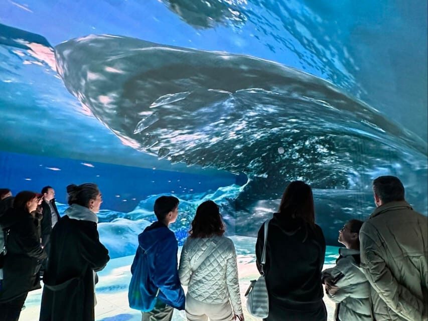 Digital Experience Museum Skip-the-Line Entry - What You Can Expect from Your Visit
