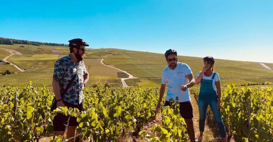 Dijon/Beaune: Full day Ebike Burgundy tour, tastings & lunch - Exploring the Burgundy Full-Day E-Bike Tour in Detail
