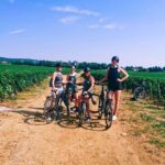 Dijon: Bike tour and Tastings in the Vineyards of Burgundy - The Sum Up: Is it Worth It?