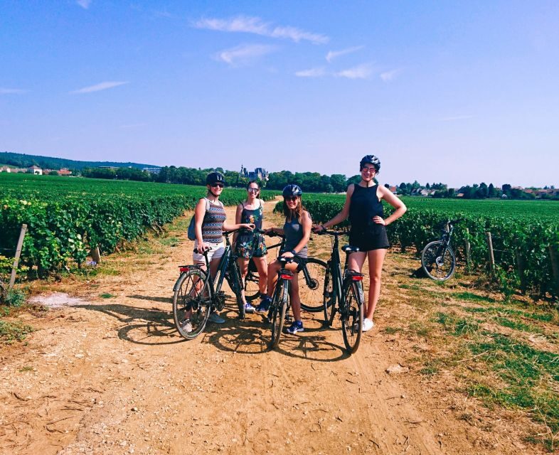 Dijon: Bike tour and Tastings in the Vineyards of Burgundy - The Sum Up: Is it Worth It?